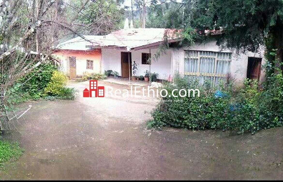 Addisu Gebeya, House for sale, 2 BR, 418 meter square, Addis Ababa.