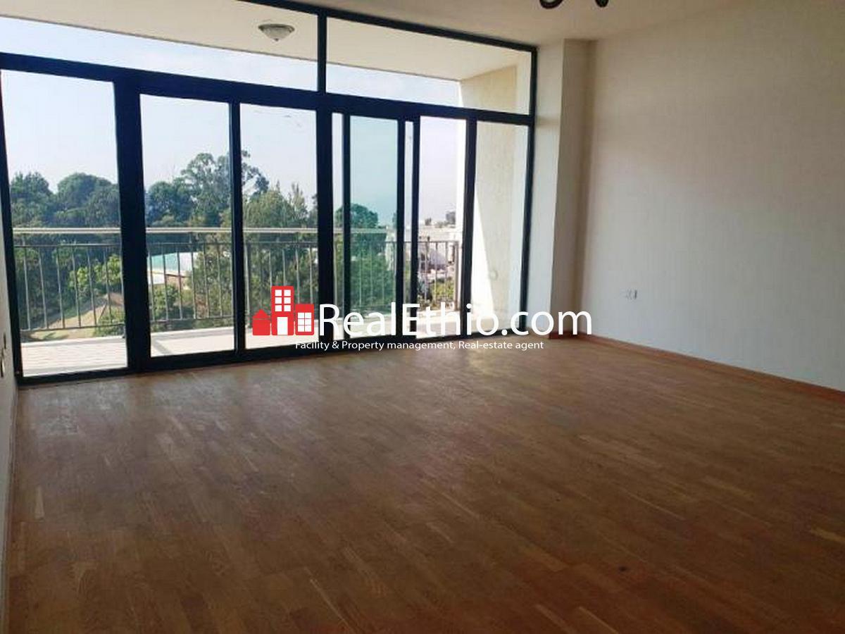 Addisu Gebeya, 3 BR apartment for rent, Addis Ababa
