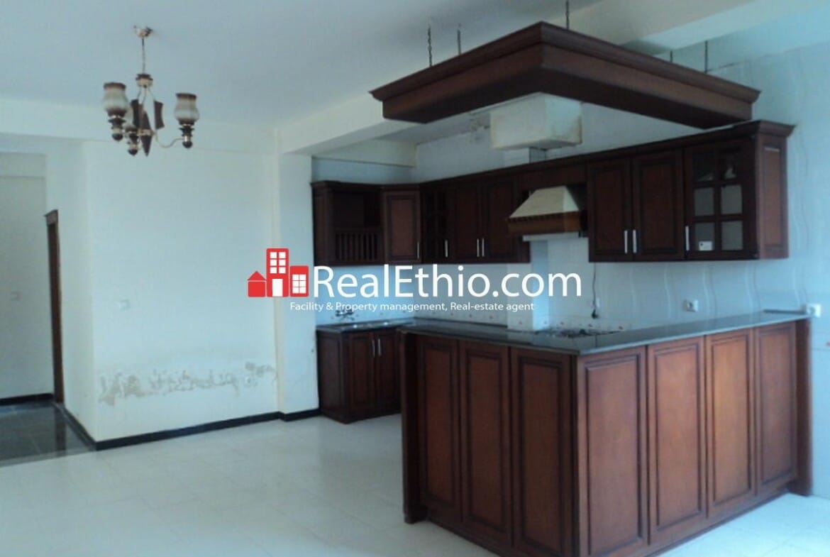 Jemo Michael, house for rent, Addis Ababa.