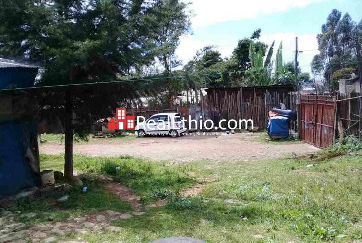 Piassa, 1,666 meter square, old house for sale, Addis Ababa.