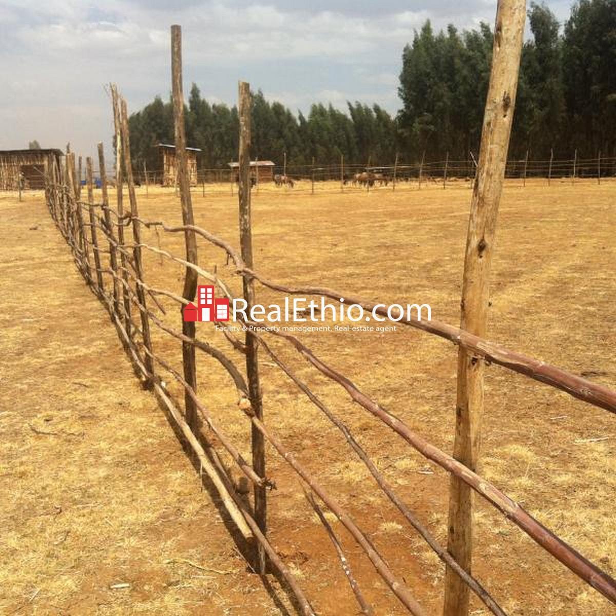 Plot of Land for sale - Land of size 1,700 meter square for sale at ...