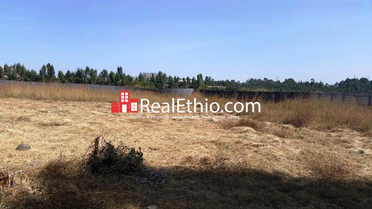 Plot of Land of 16,000 meter square size for sale at Kality, Addis ...