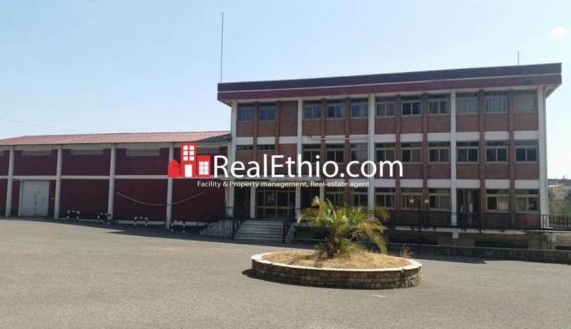 Thirty rooms ground plus 3 office building and 500 square meters ...