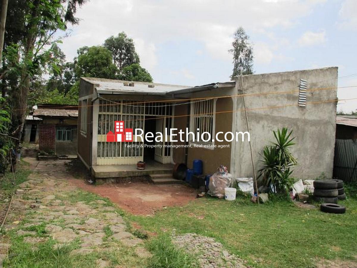 2 villa houses for sale, old and new, 528.5 meter square, Kera Gofa ...