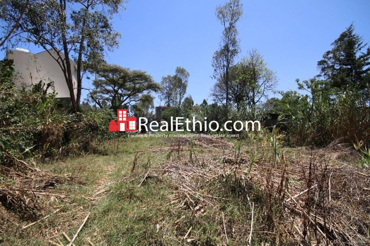 Gofa, house for sale, Addis Ababa, Ethiopia.