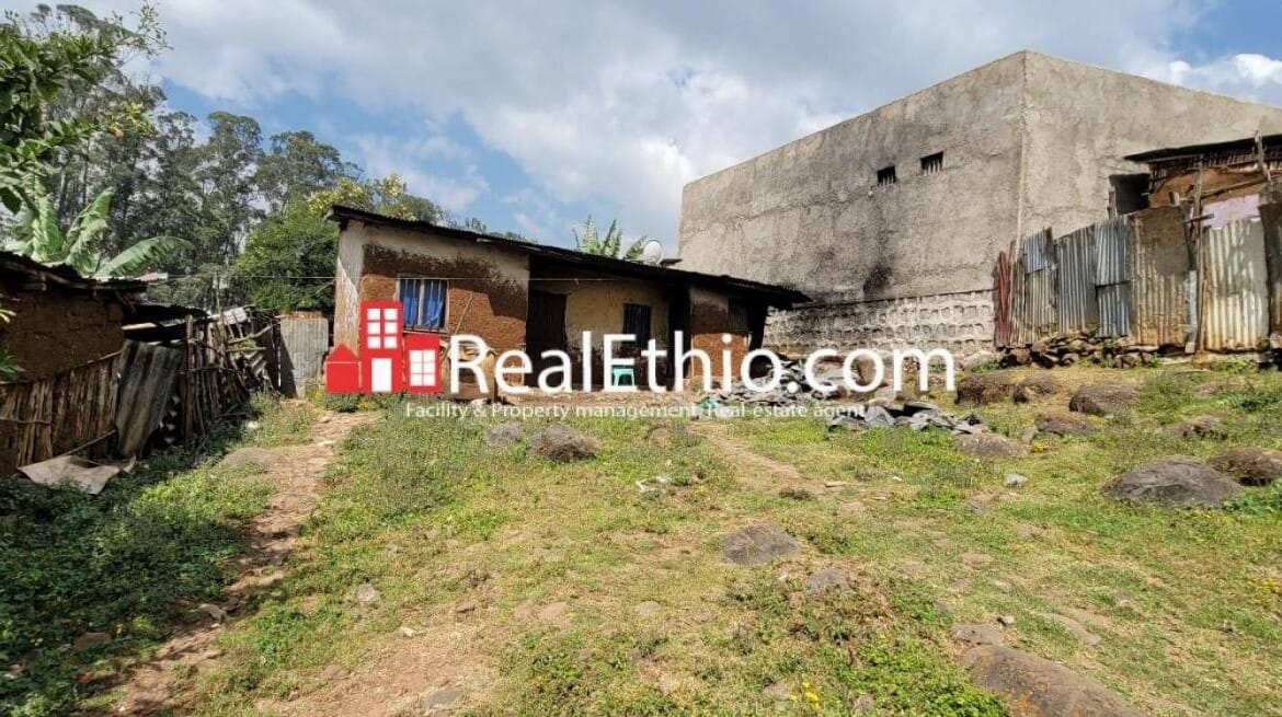 Burayu near Gefersa reservoir, 3 rooms, 243 meter square, old house for ...