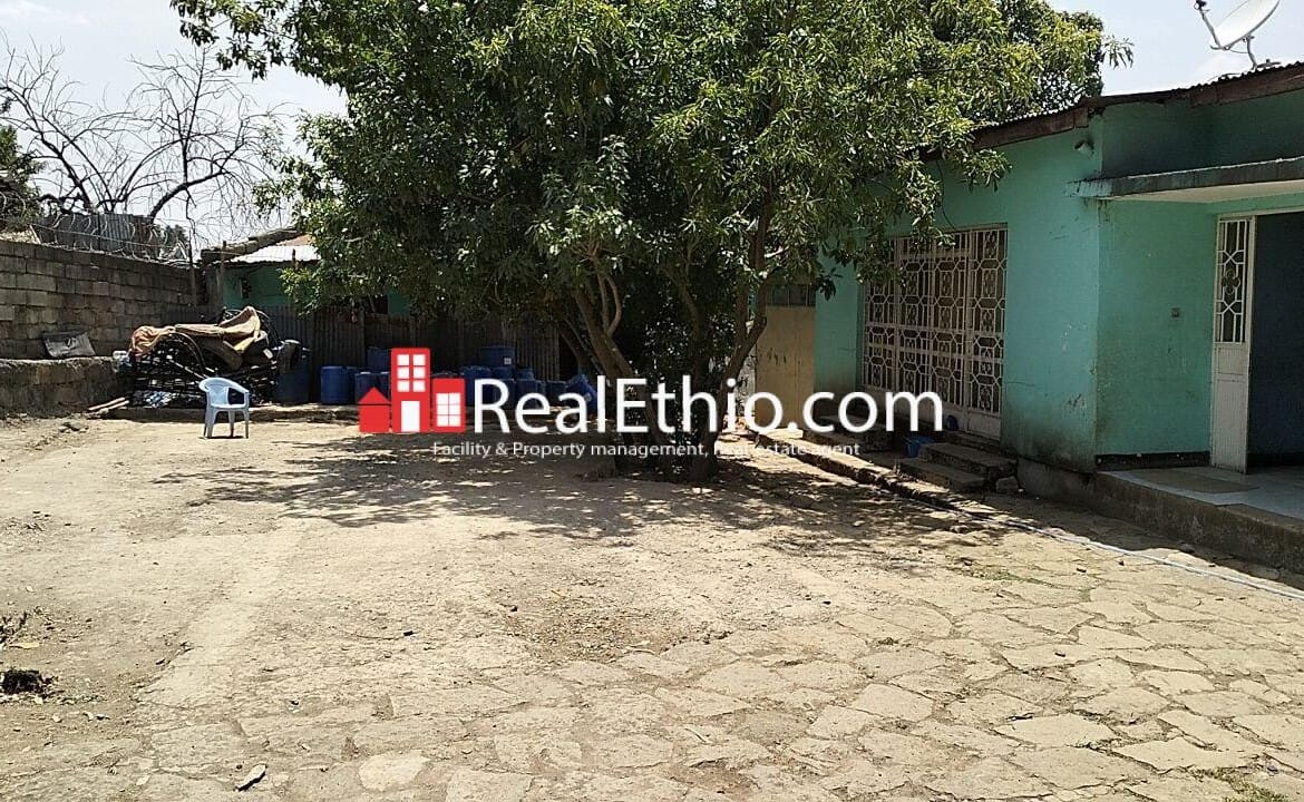 Lideta 538 Msq Area Villa + Service Houses